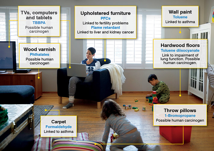 Where might you encounter toxic chemicals in your home? | Environmental ...